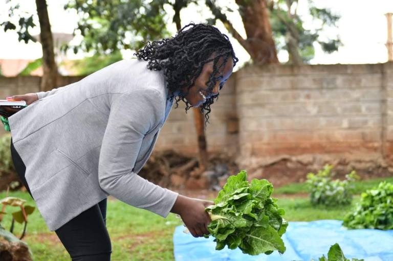 What is a Health System? Breaking Down the WHO Building Blocks ...